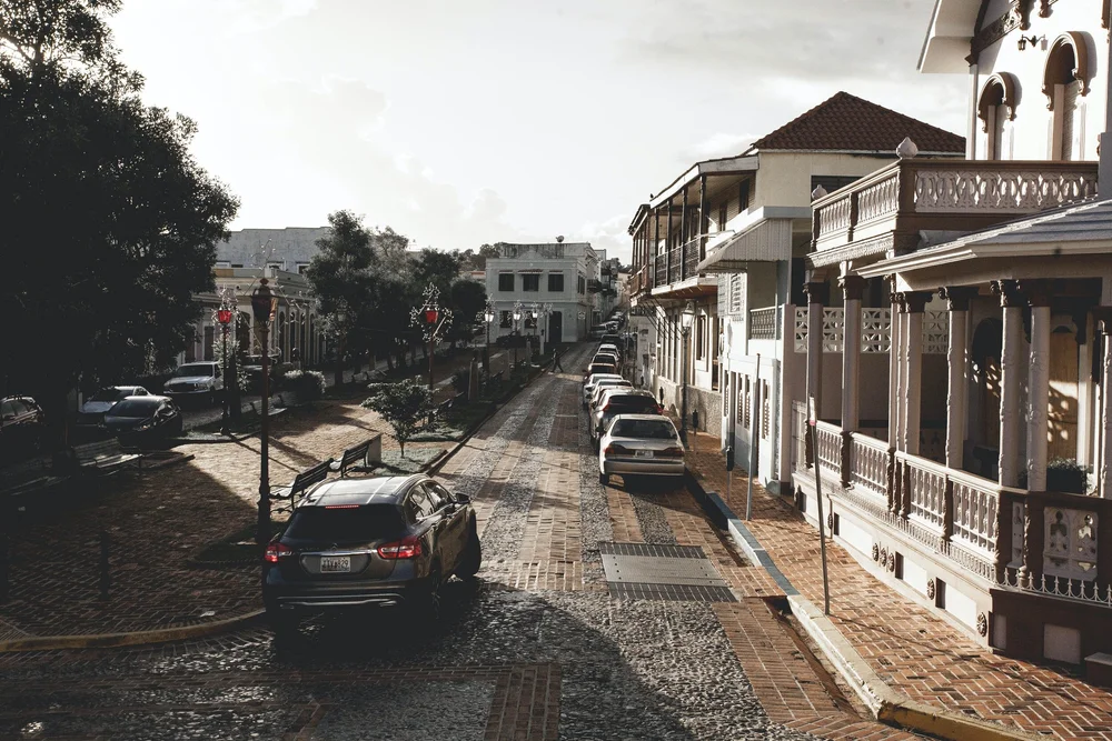 Urban lizards — Shane Campbell-Staton