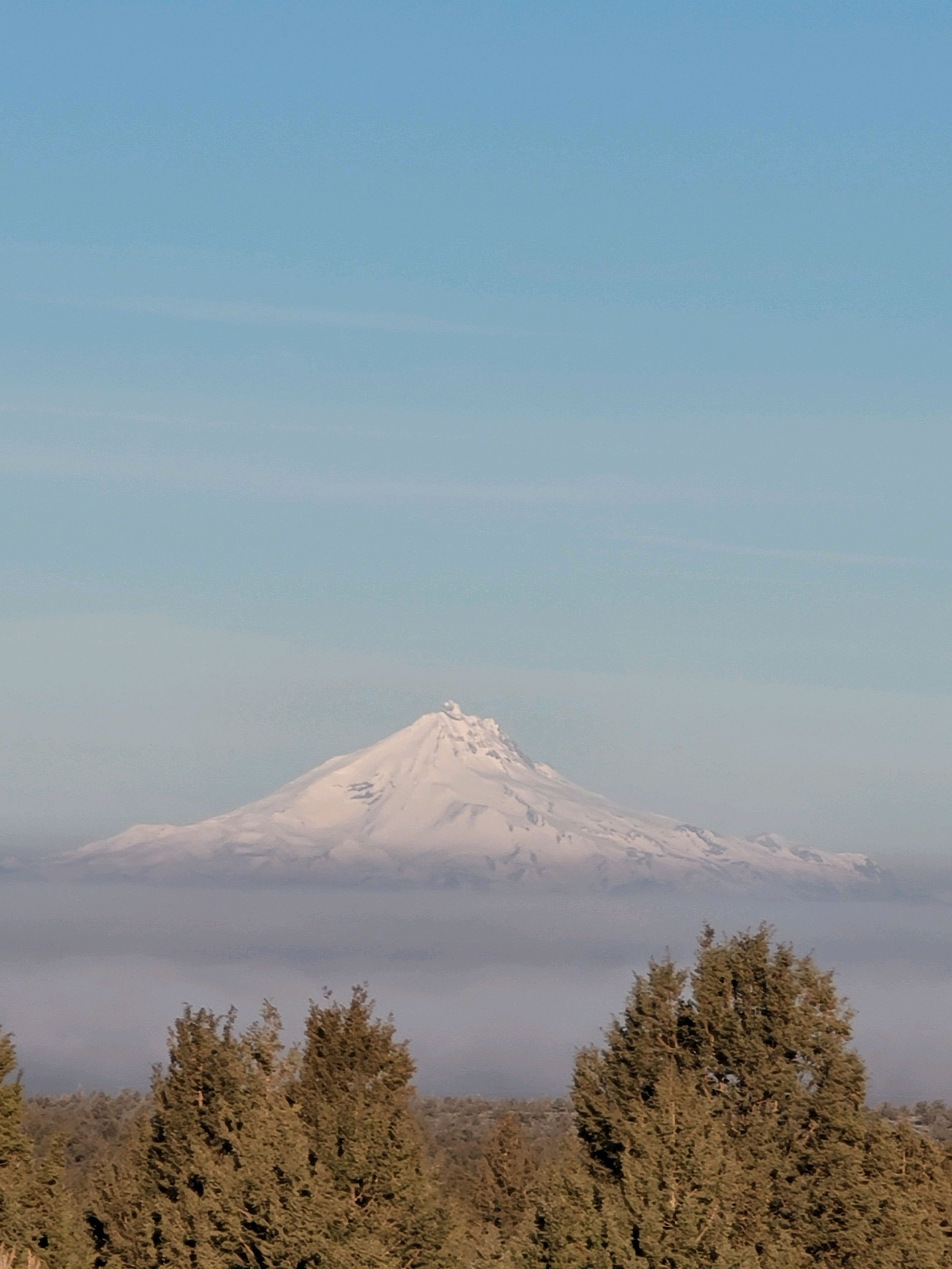Choice One Builders Bend, OR