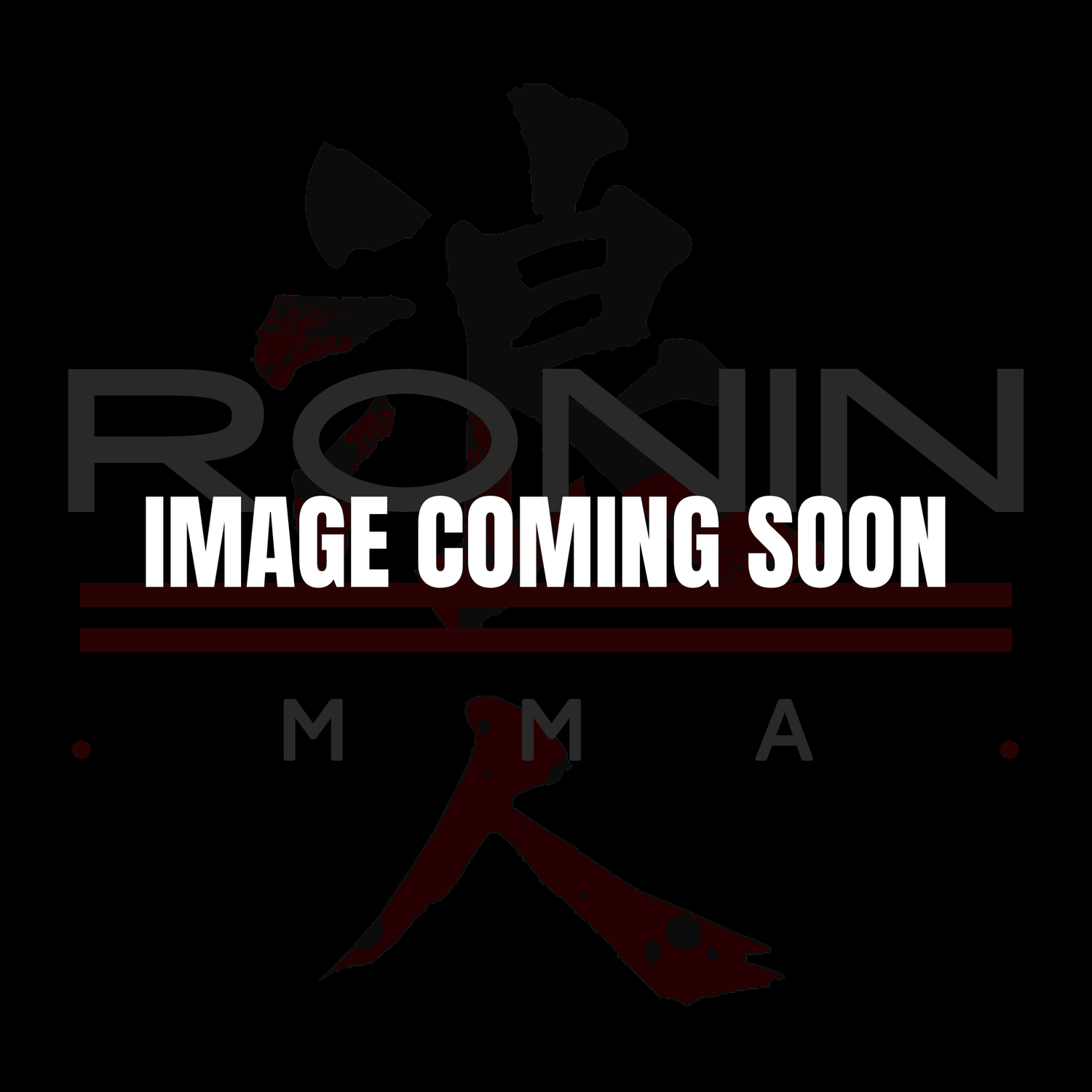 Ronin Coaches | Qualified Professionals Here for You — Ronin Martial ...