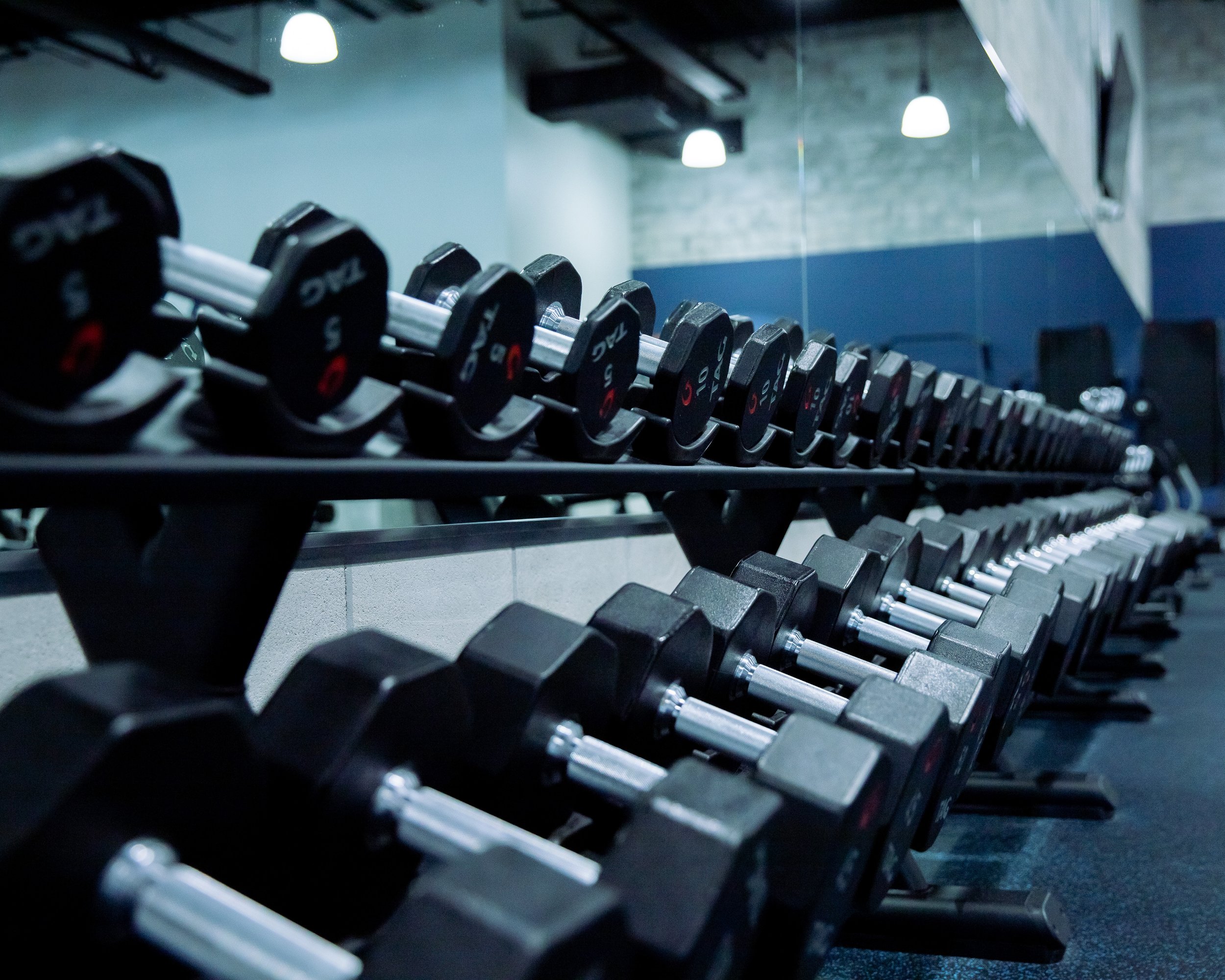 Bay Fit Club