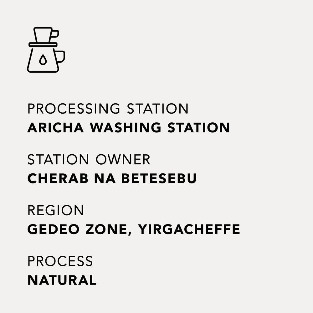 Store — HEDGE COFFEE