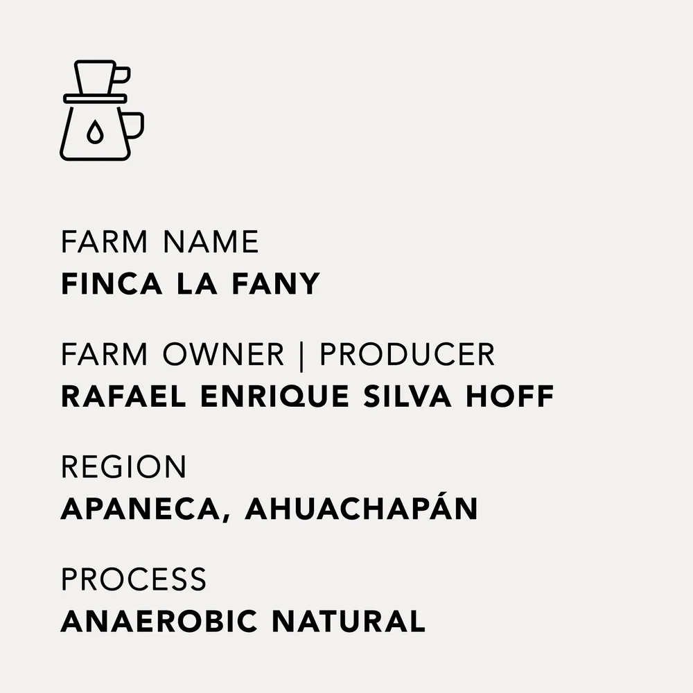 Store — HEDGE COFFEE