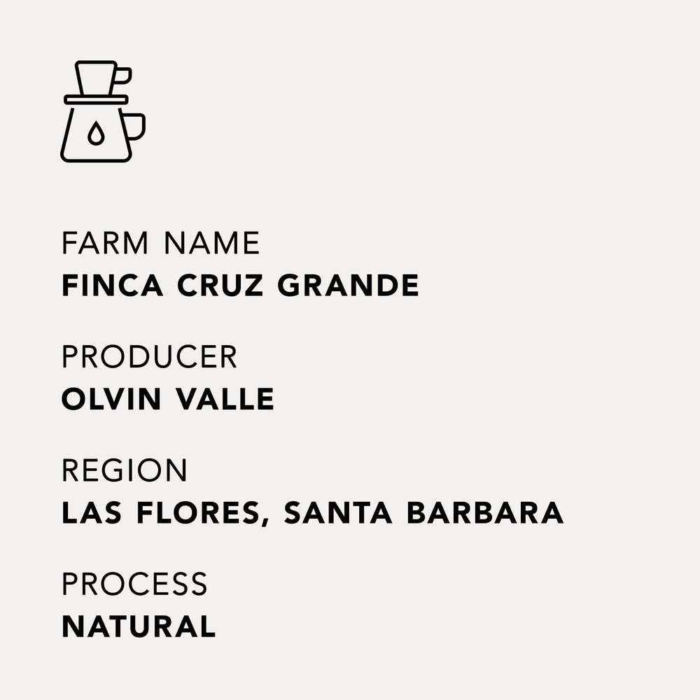 Store — HEDGE COFFEE