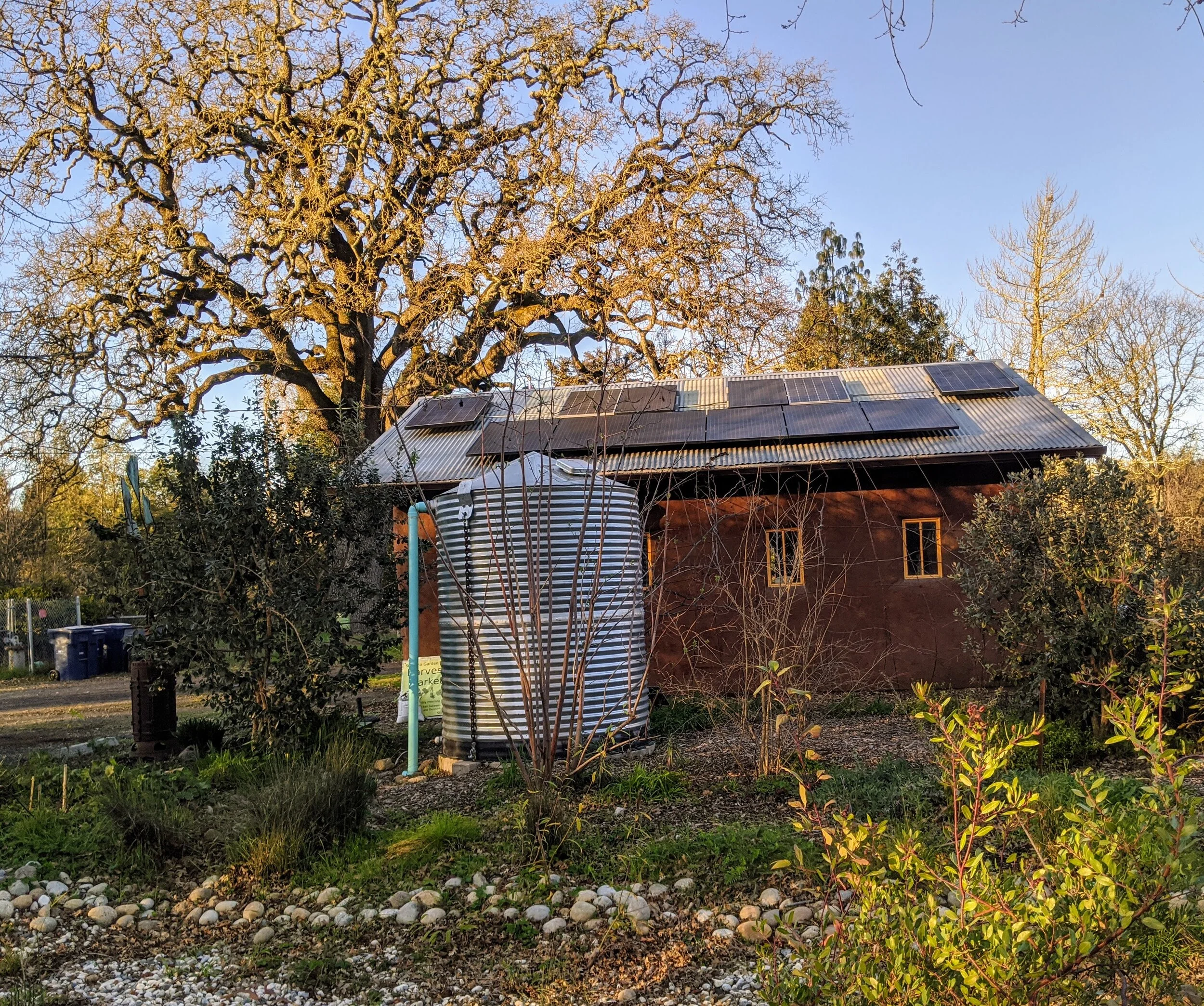 Sonoma Garden Park — flowers and grapes