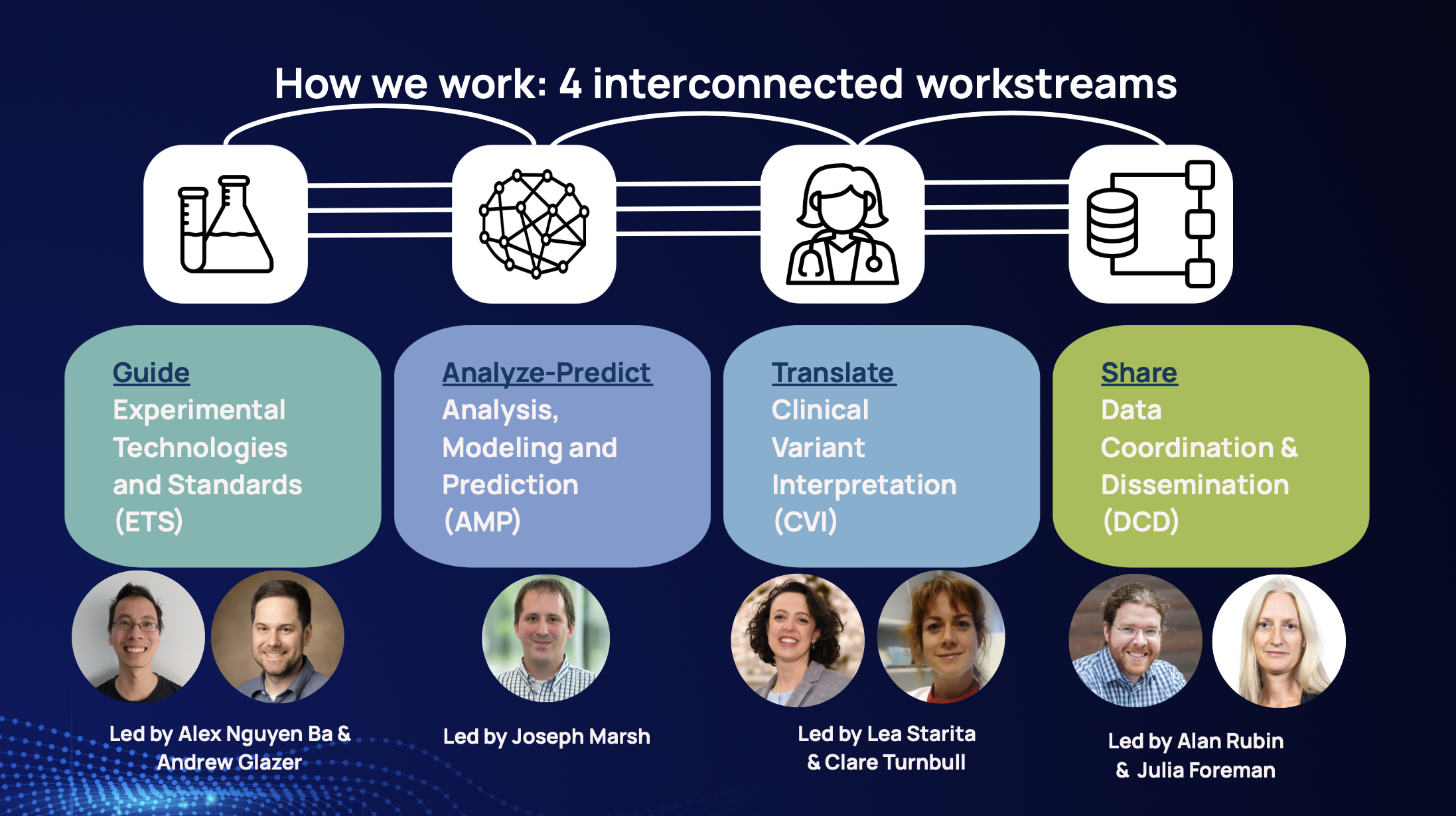 Workstreams — Atlas of Variant Effects Alliance