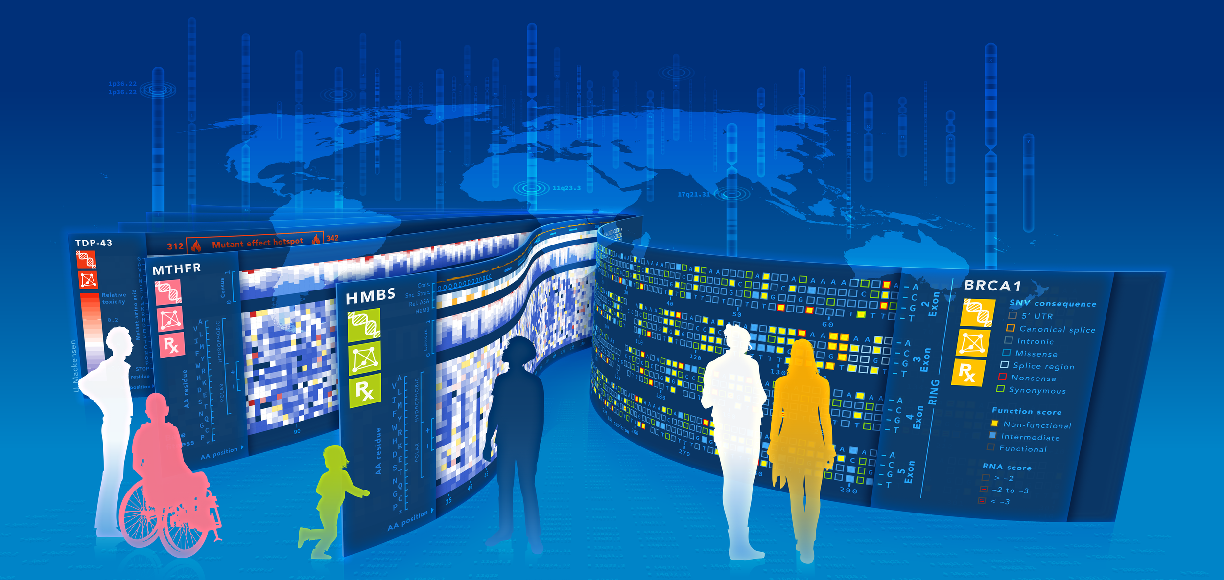 Atlas of Variant Effects Alliance