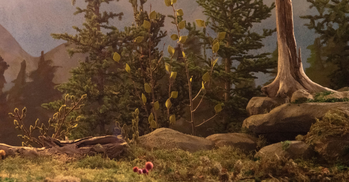Northern Tails Puppet Show — Shot in the Dark Productions