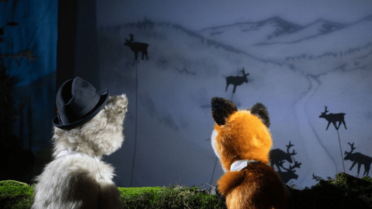 Northern Tails | Season 2 — Shot in the Dark Productions