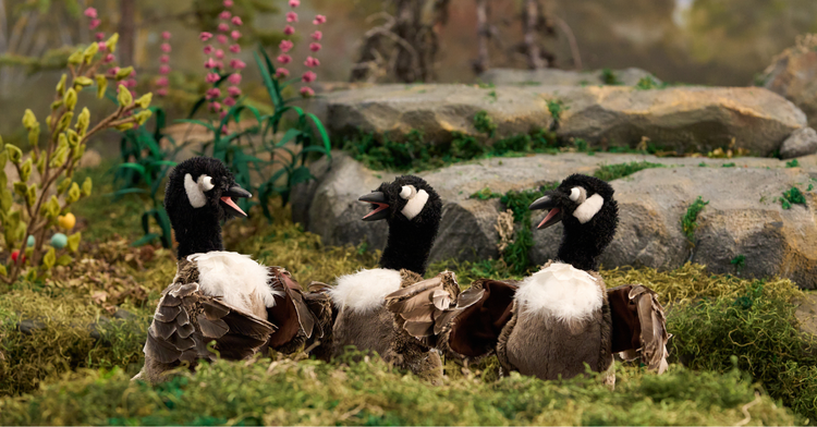 Northern Tails Puppet Show — Shot in the Dark Productions