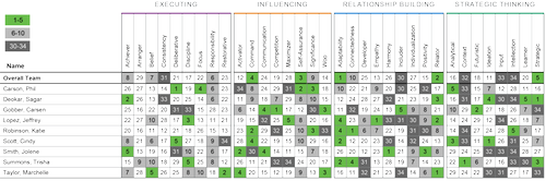 CliftonStrengths (StrengthsFinder) Team Grid — Strengths Navigator | A ...