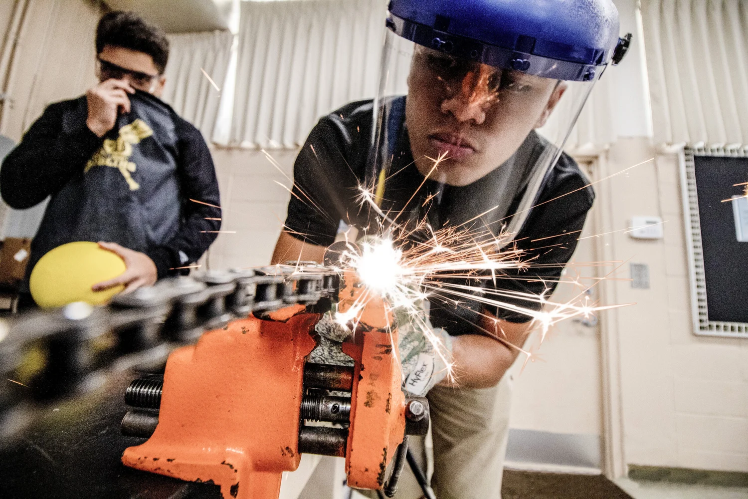 Scholarships — Damien Memorial School