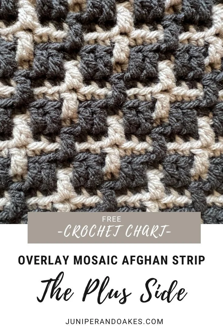 The Plus Side - Overlay Mosaic Afghan Strip - August - Monthly Mosaic ...