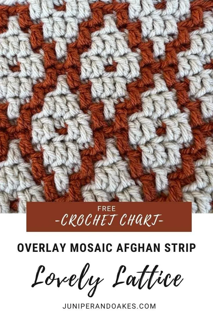Lovely Lattice - Overlay Mosaic Afghan Strip - September - Monthly ...