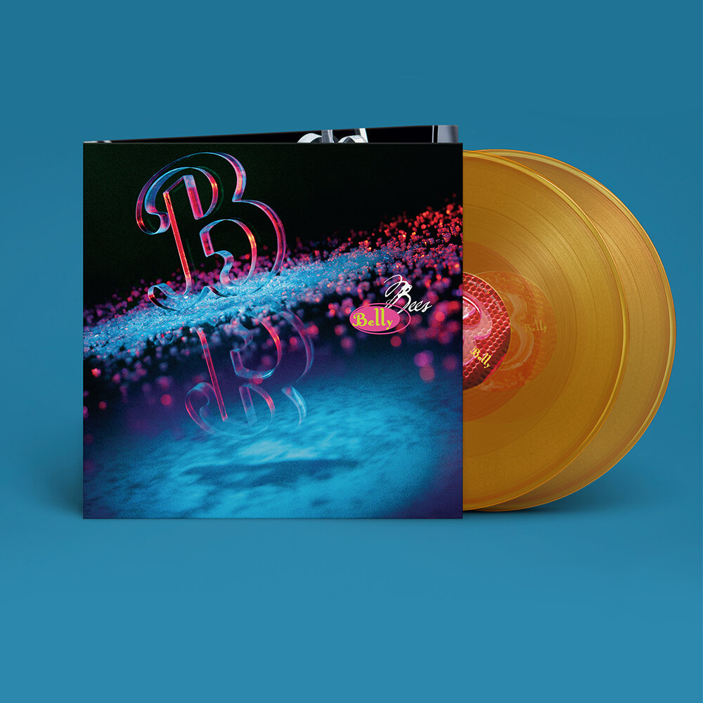 Vs- Pearl Jam Vinyl LP — Vertigo Vinyl