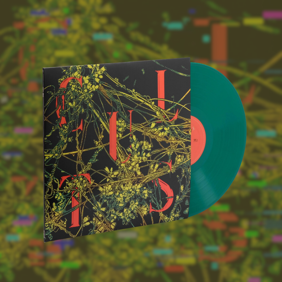 The Rise and Fall of a Midwest Princess- Chappell Roan Black Vinyl LP ...
