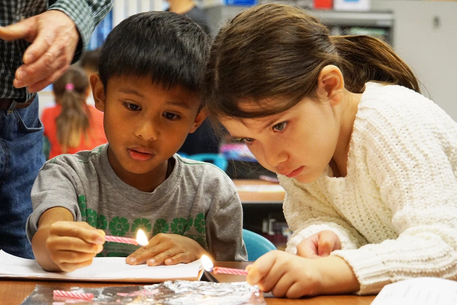Programs — Science is Elementary