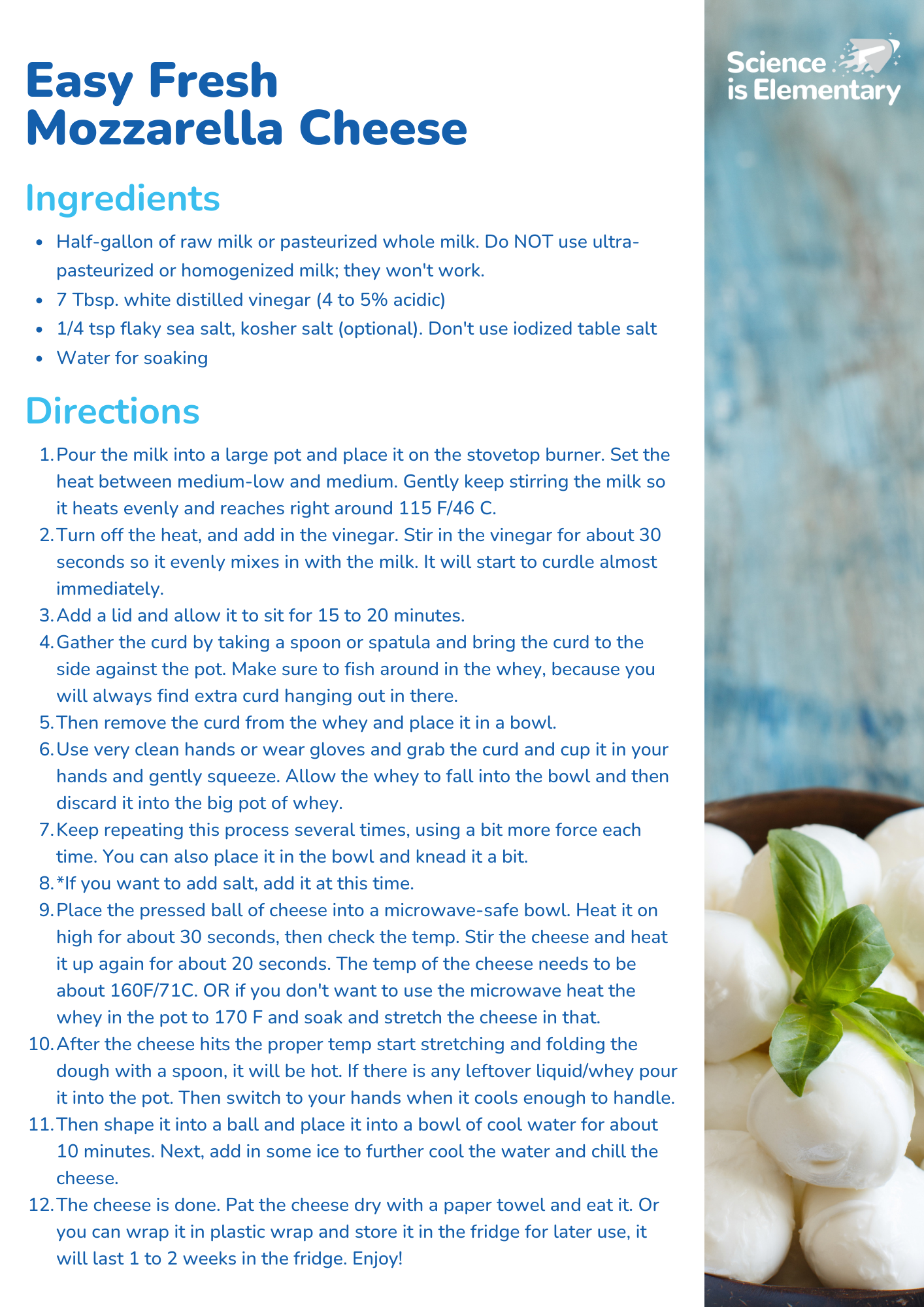 A delectable experiment: Making cheese — Science is Elementary