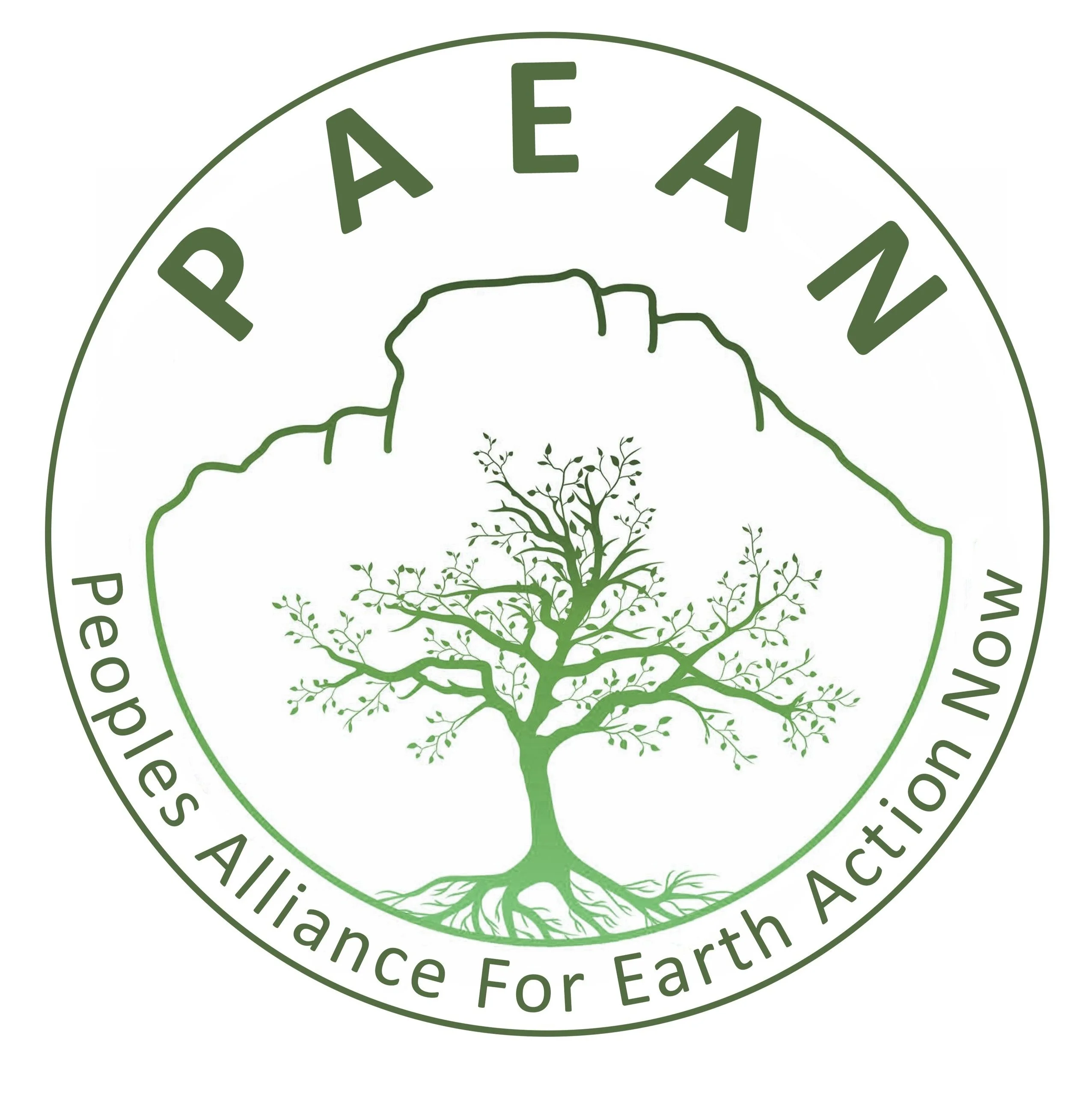 Partners — Awakening For Earth