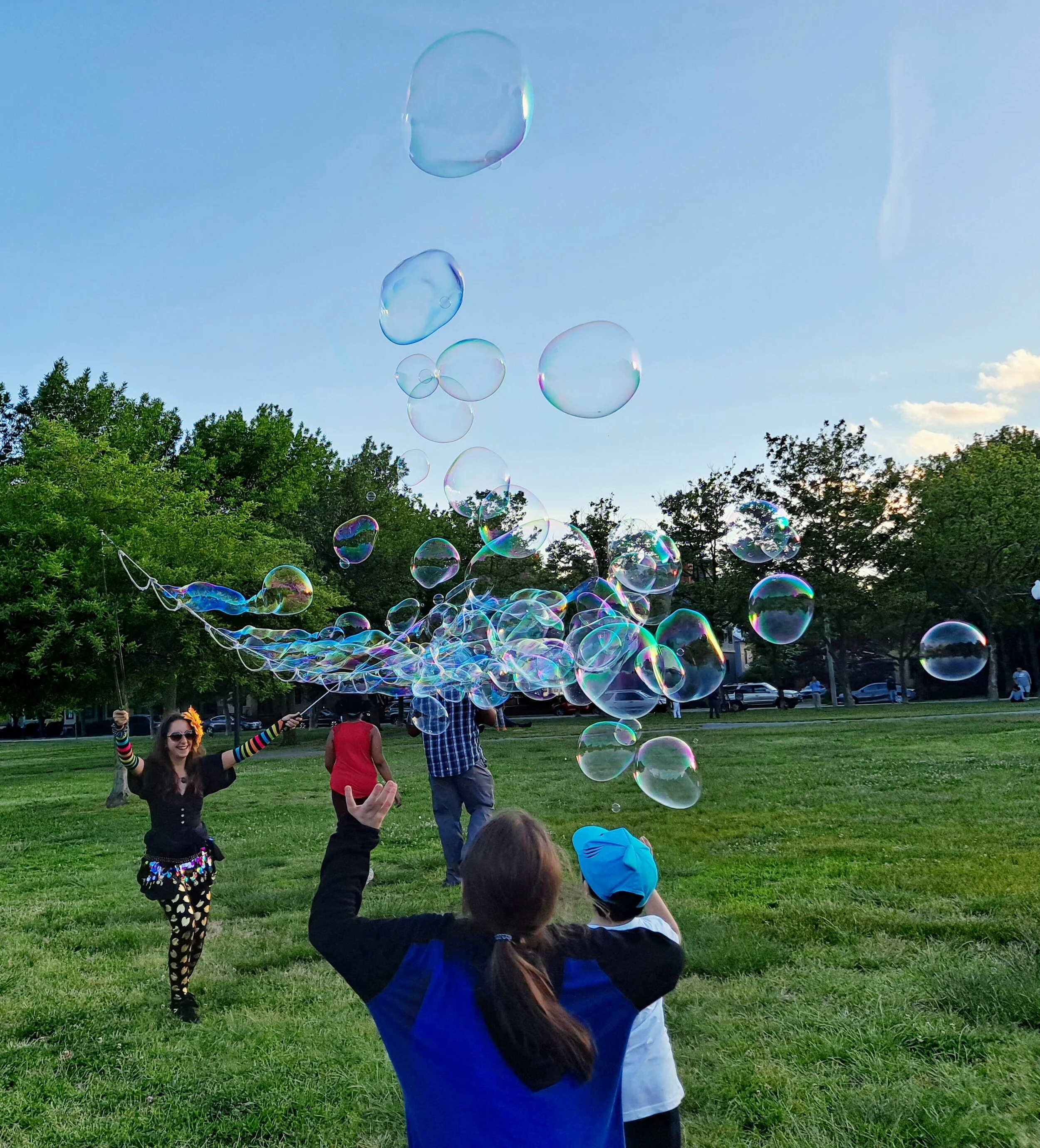 About 1 — Circus Dynamics