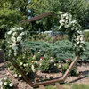 Choosing Your Perfect Wedding Arch: Unique Styles for Every Couple ...