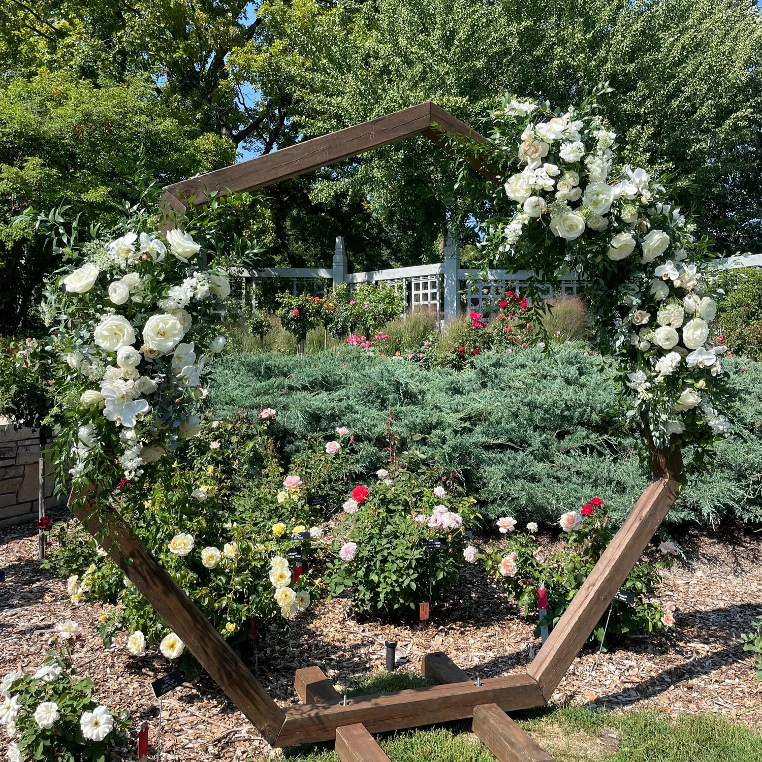 Choosing Your Perfect Wedding Arch: Unique Styles for Every Couple ...