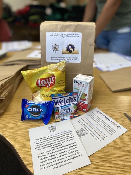 Programs — Sigma Gamma Rho