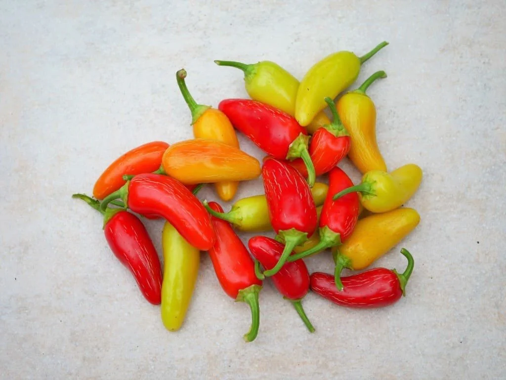 Veggies — Backyard Treasures Plant Sale