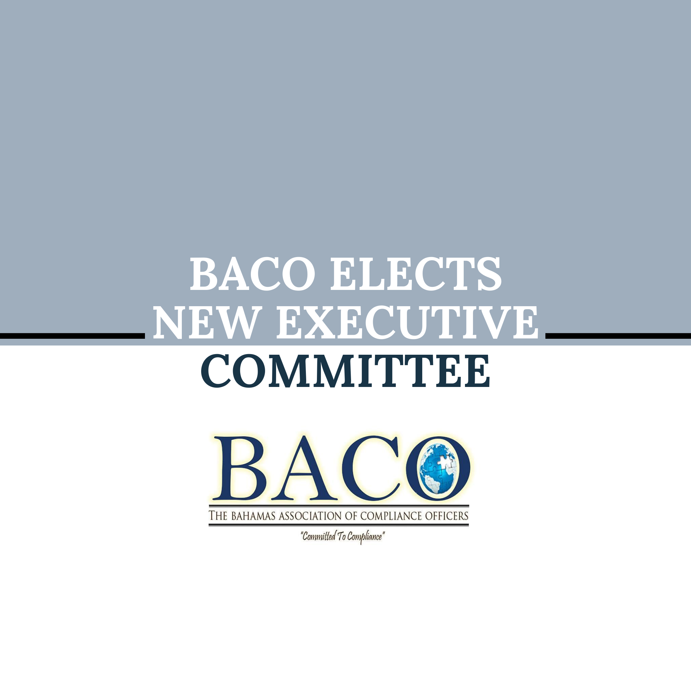Collaboration and Innovation Promises New BACO Executive Committee — BACO