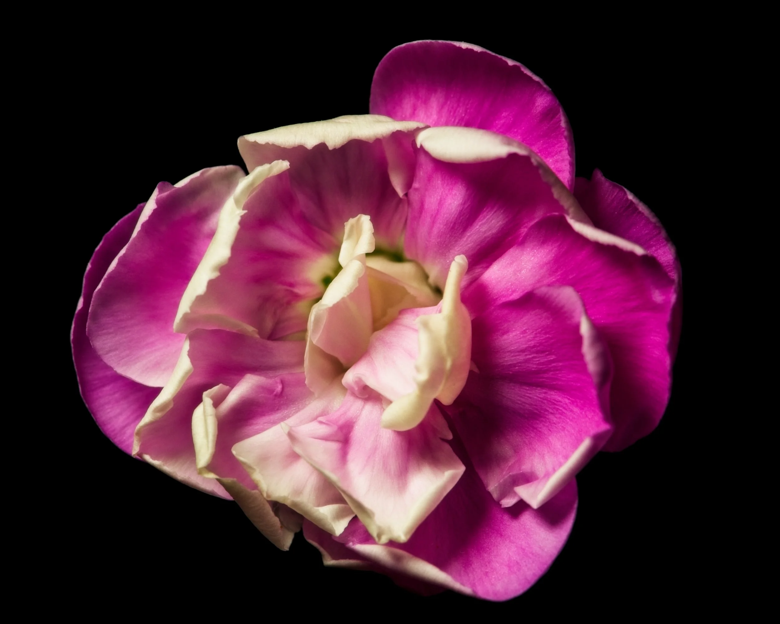 Marc Gregory Photography