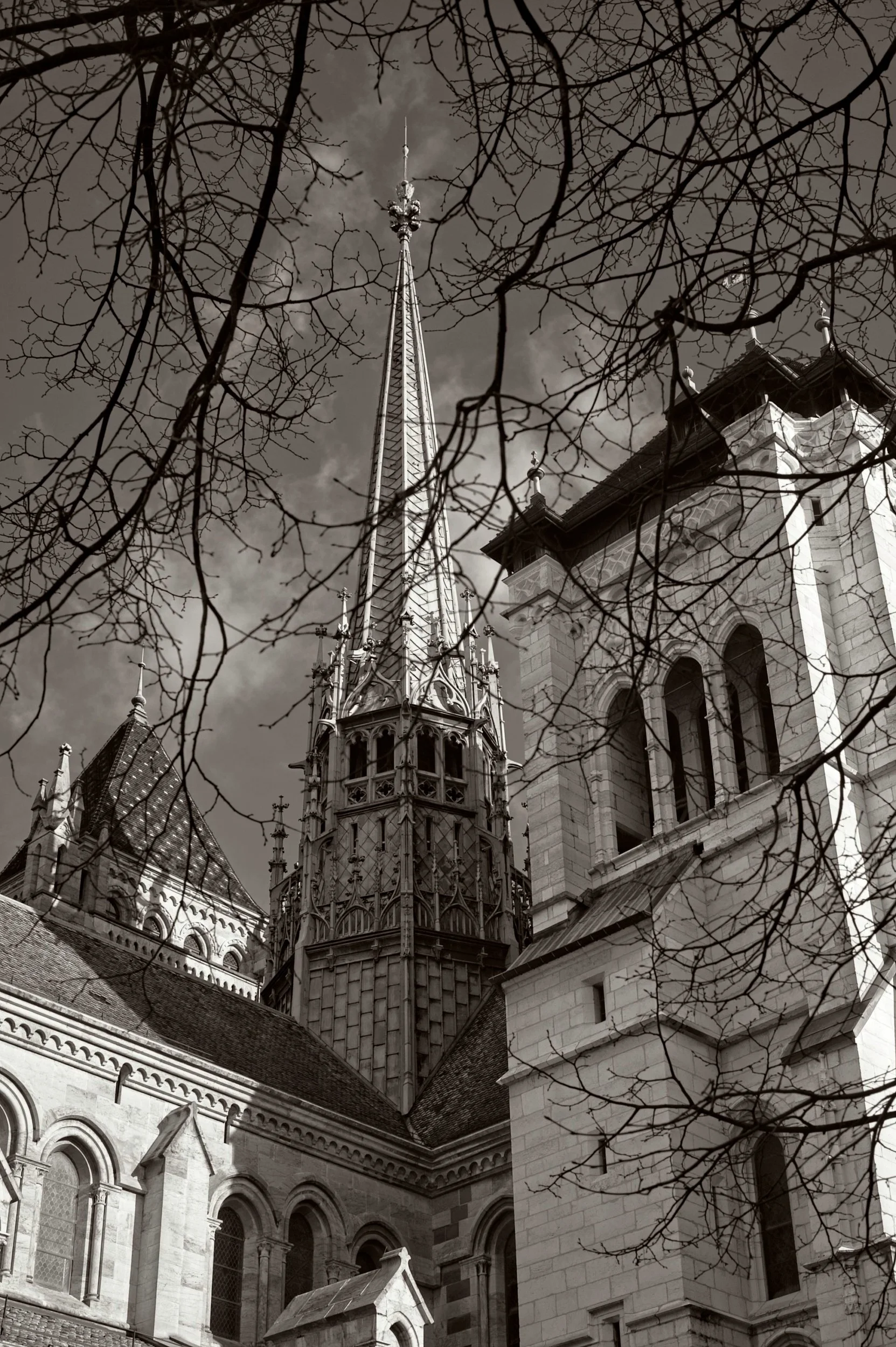 Marc Gregory Photography