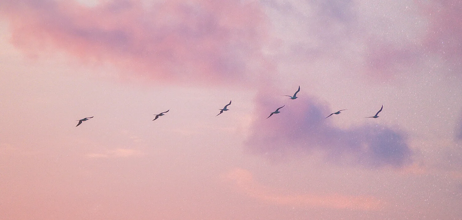 Our Mission, Vision, Values, and Strategic Plan — Inner Source Healing