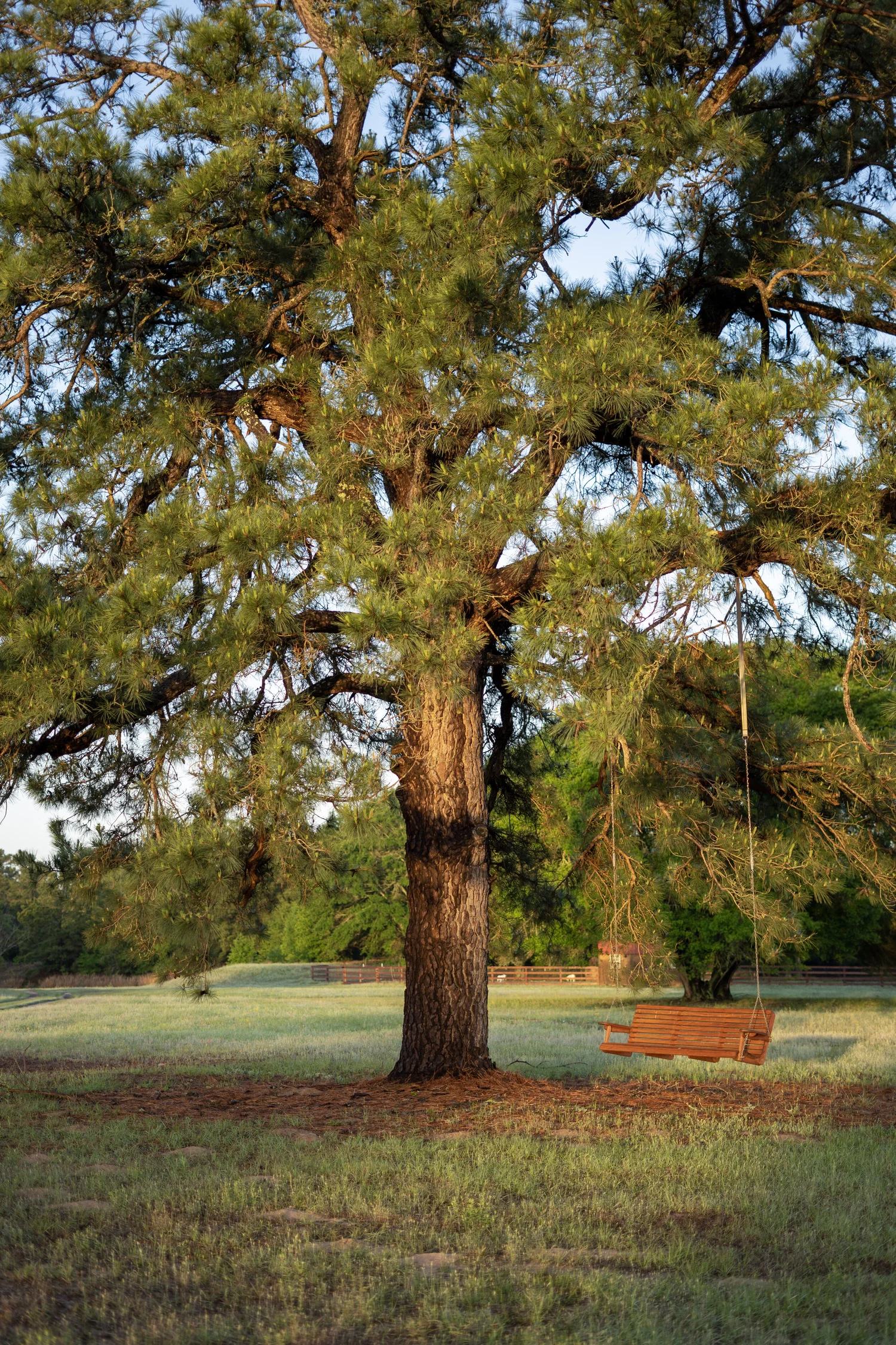 Peaceful Pines Wedding & Event Venue