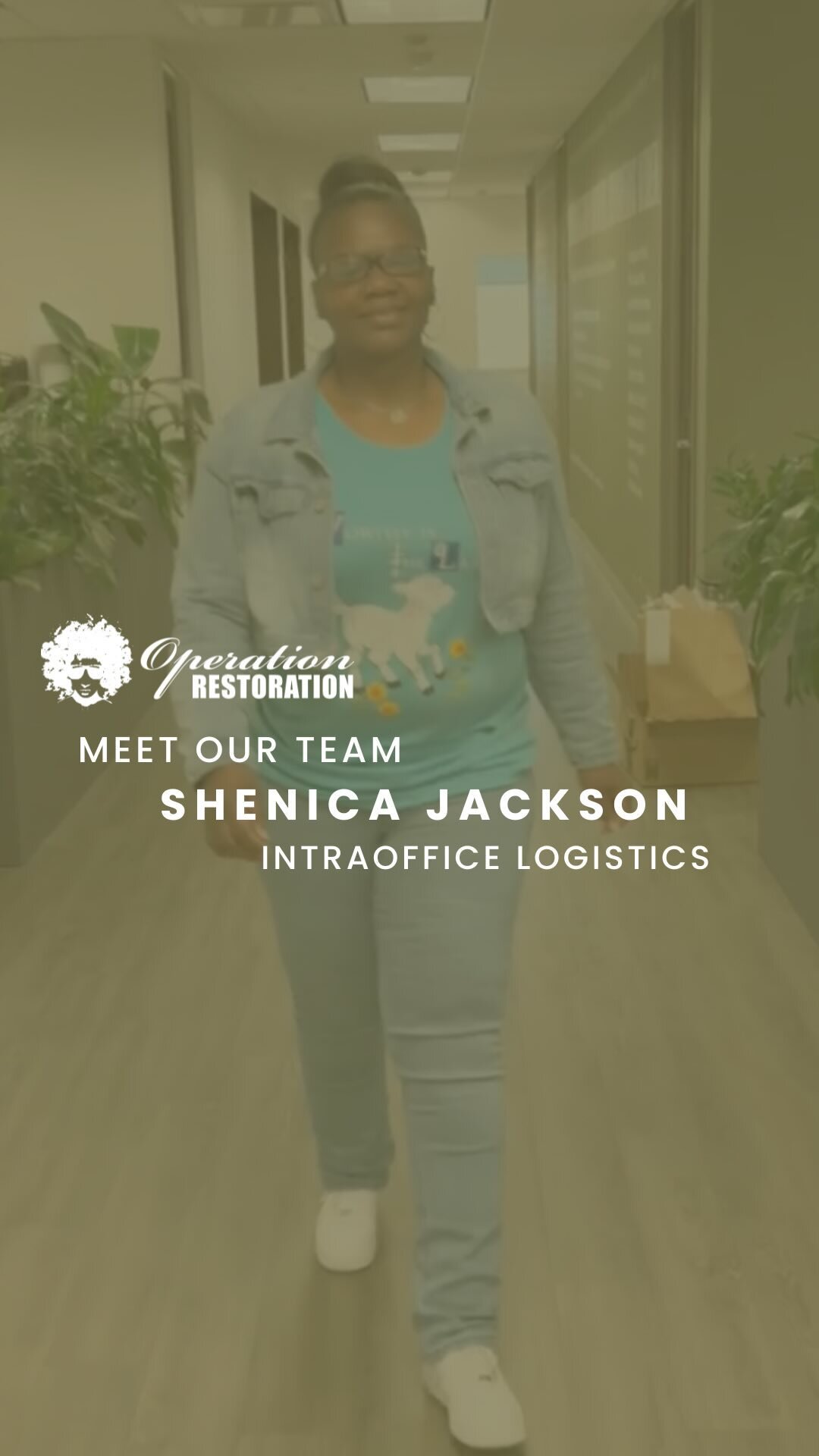 Operation Restoration