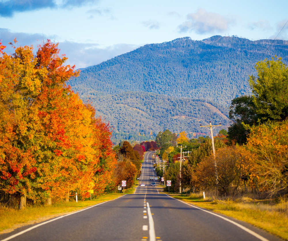 Mount Beauty & District Chamber of Commerce