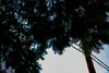 Steps to shoot In-camera Multiple Exposures on Canon cameras — Pablo ...