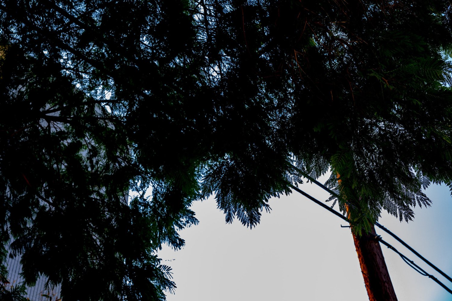 Steps to shoot In-camera Multiple Exposures on Canon cameras — Pablo ...