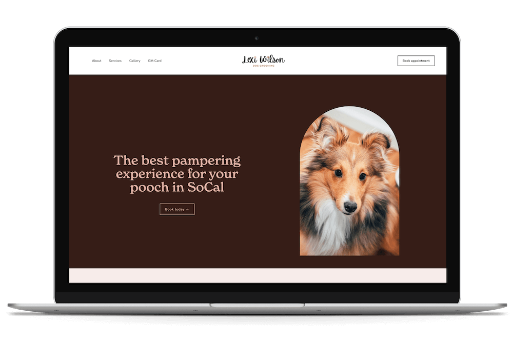 Squarespace templates and design kits