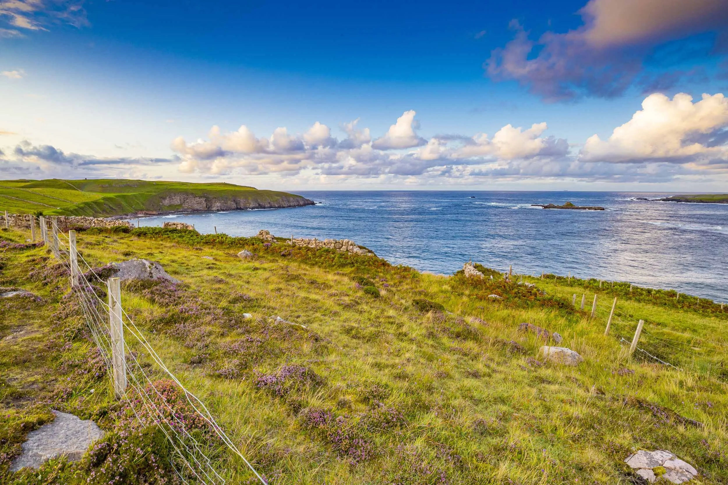 Mike Jarman Photography