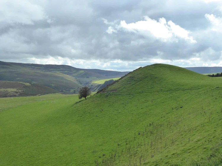 Explore — Friends of Radnor Forest