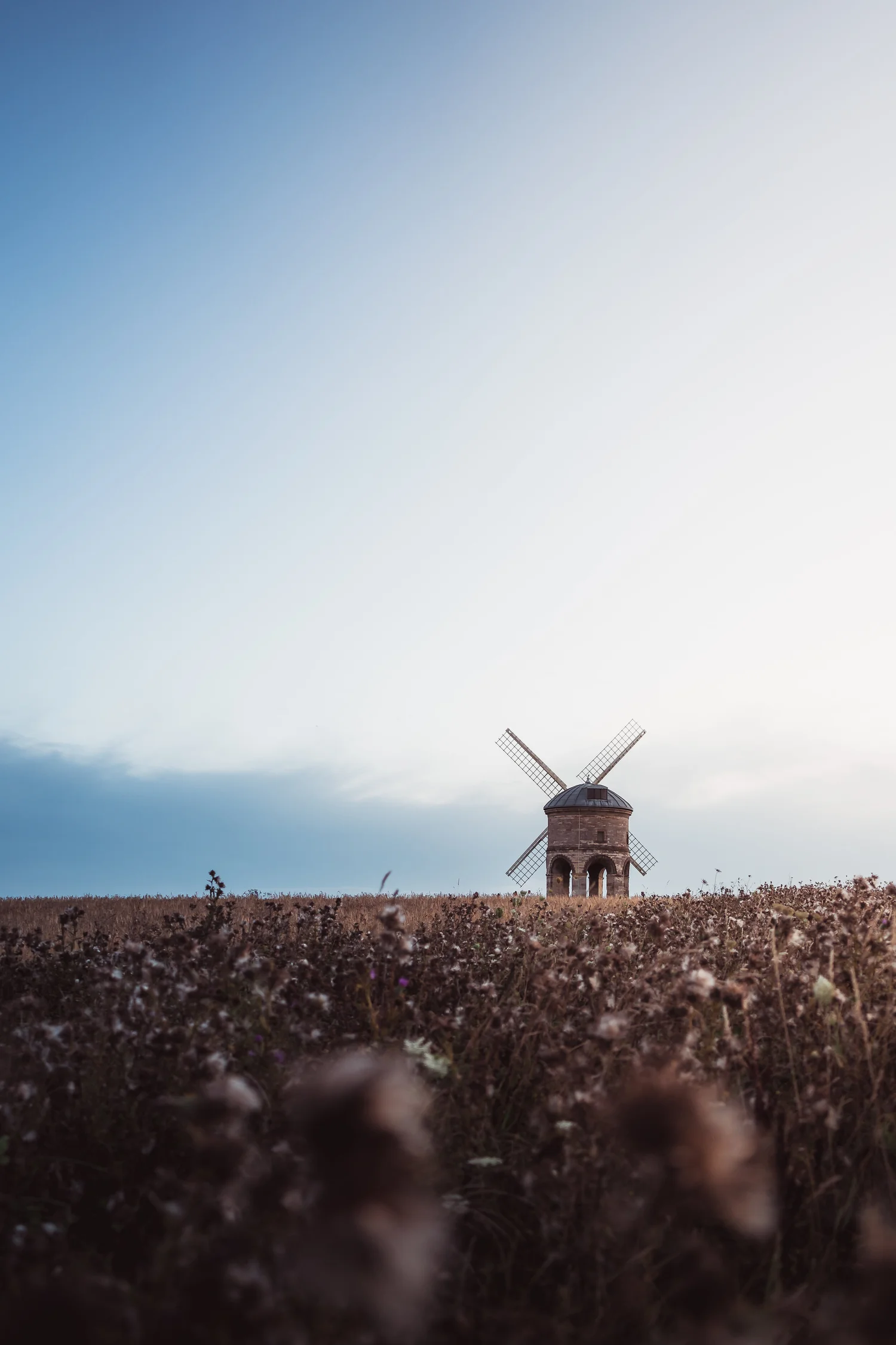 Portfolio — John Taylor Photography