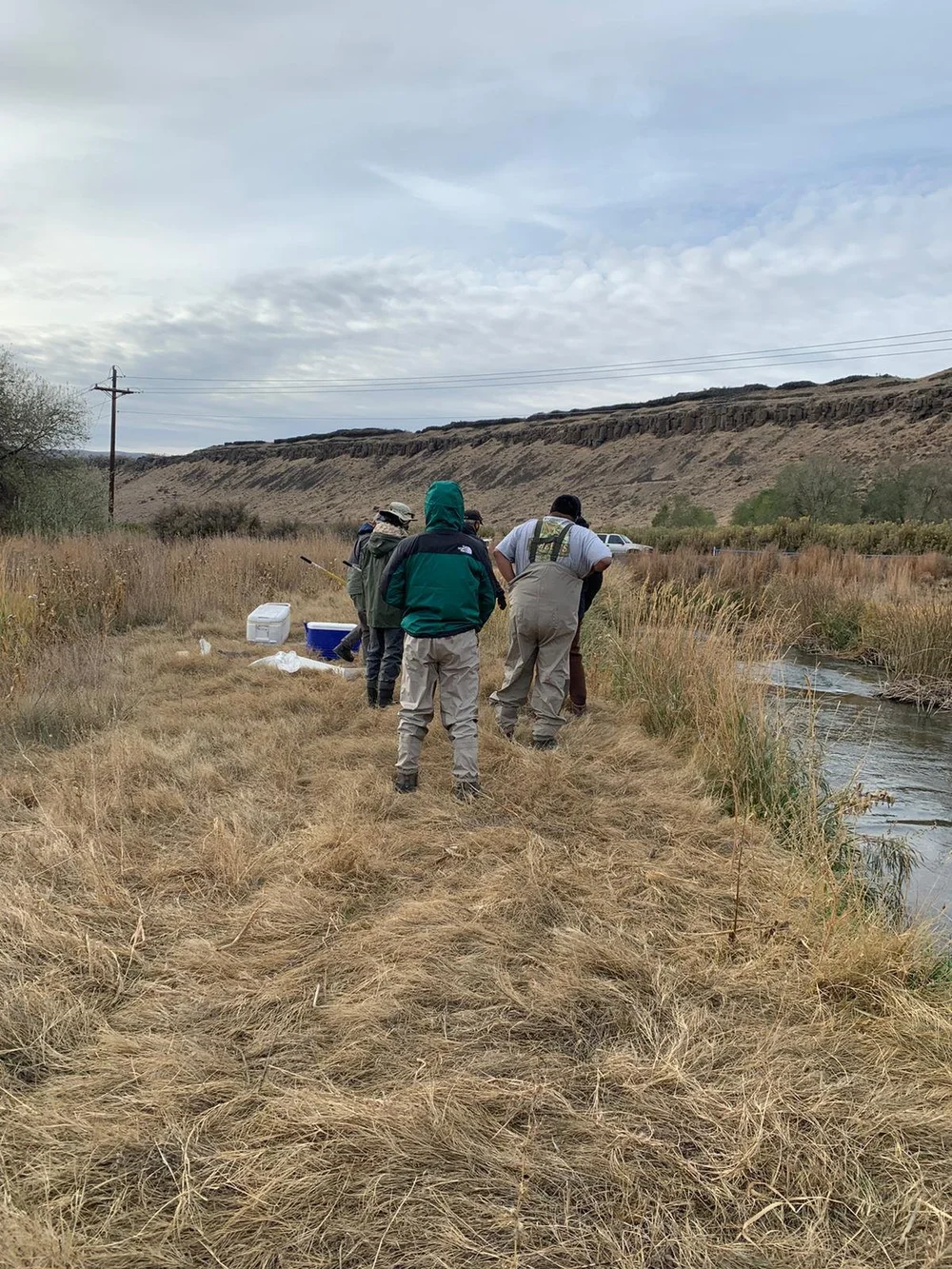 WSU Aquatic Molecular Physiology Lab