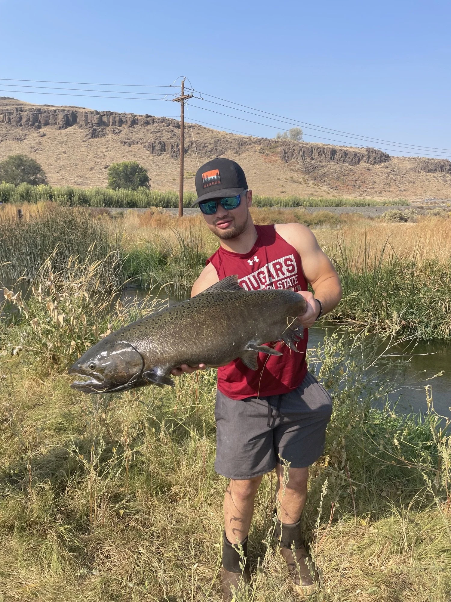 Blog 3 — WSU Aquatic Molecular Physiology Lab