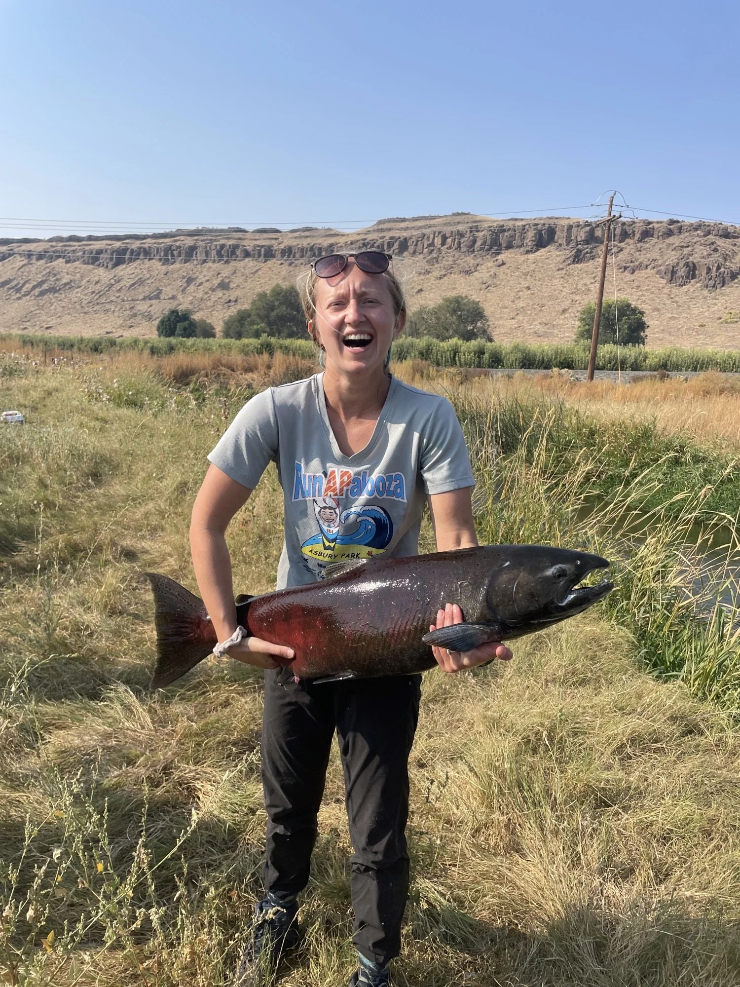 Blog 3 — WSU Aquatic Molecular Physiology Lab