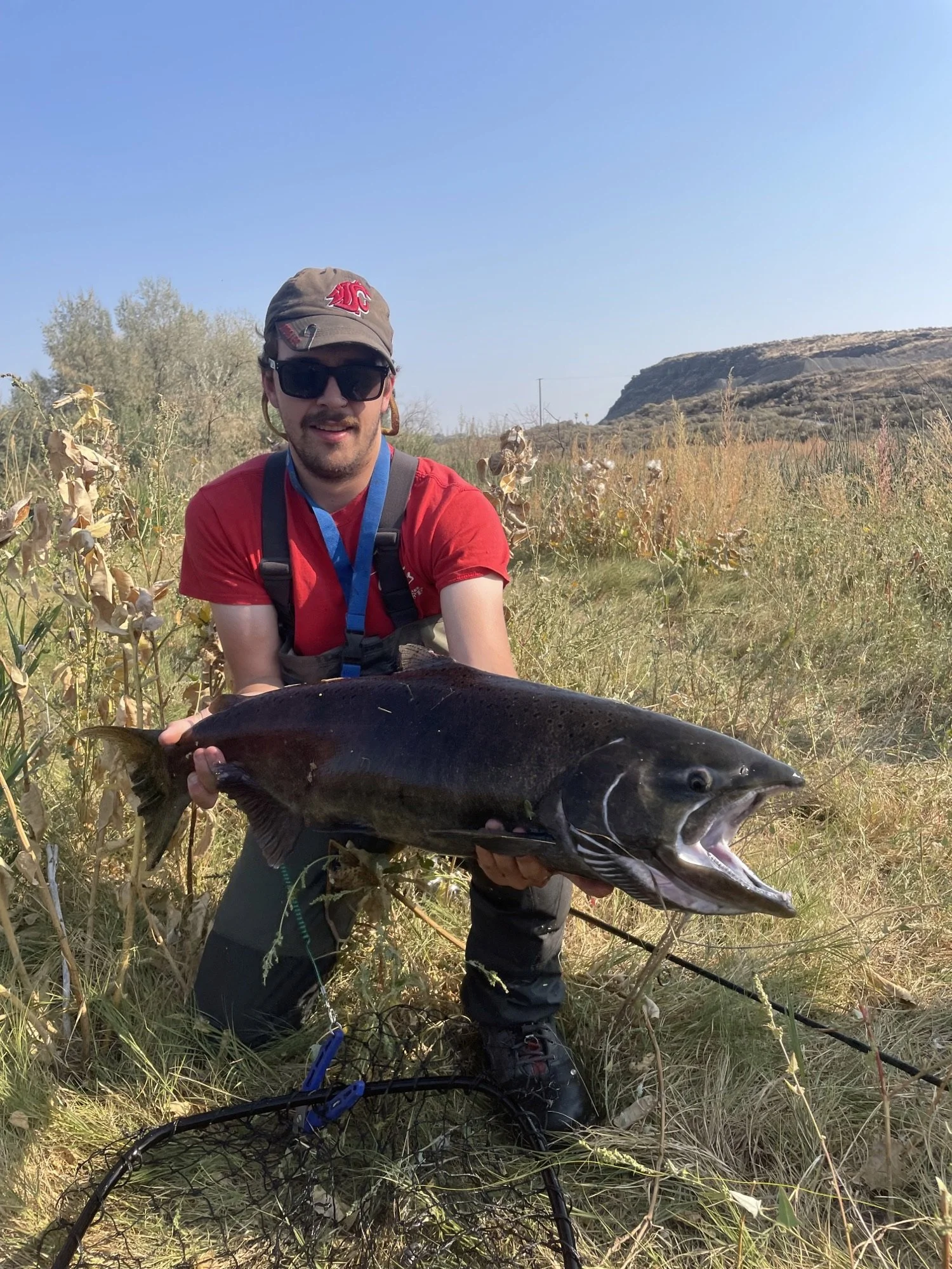 Blog 3 — WSU Aquatic Molecular Physiology Lab