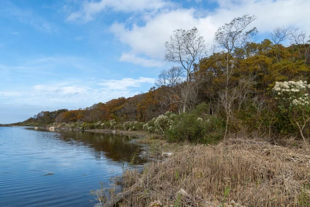Inlet Pond County Park — North Fork Audubon Society