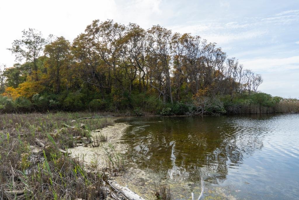 Inlet Pond County Park — North Fork Audubon Society