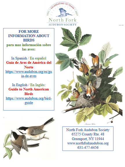 Bird Identification Guides (English/Spanish) — North Fork Audubon Society