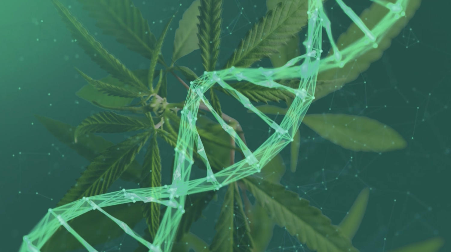 Contact — Plantik Biosciences