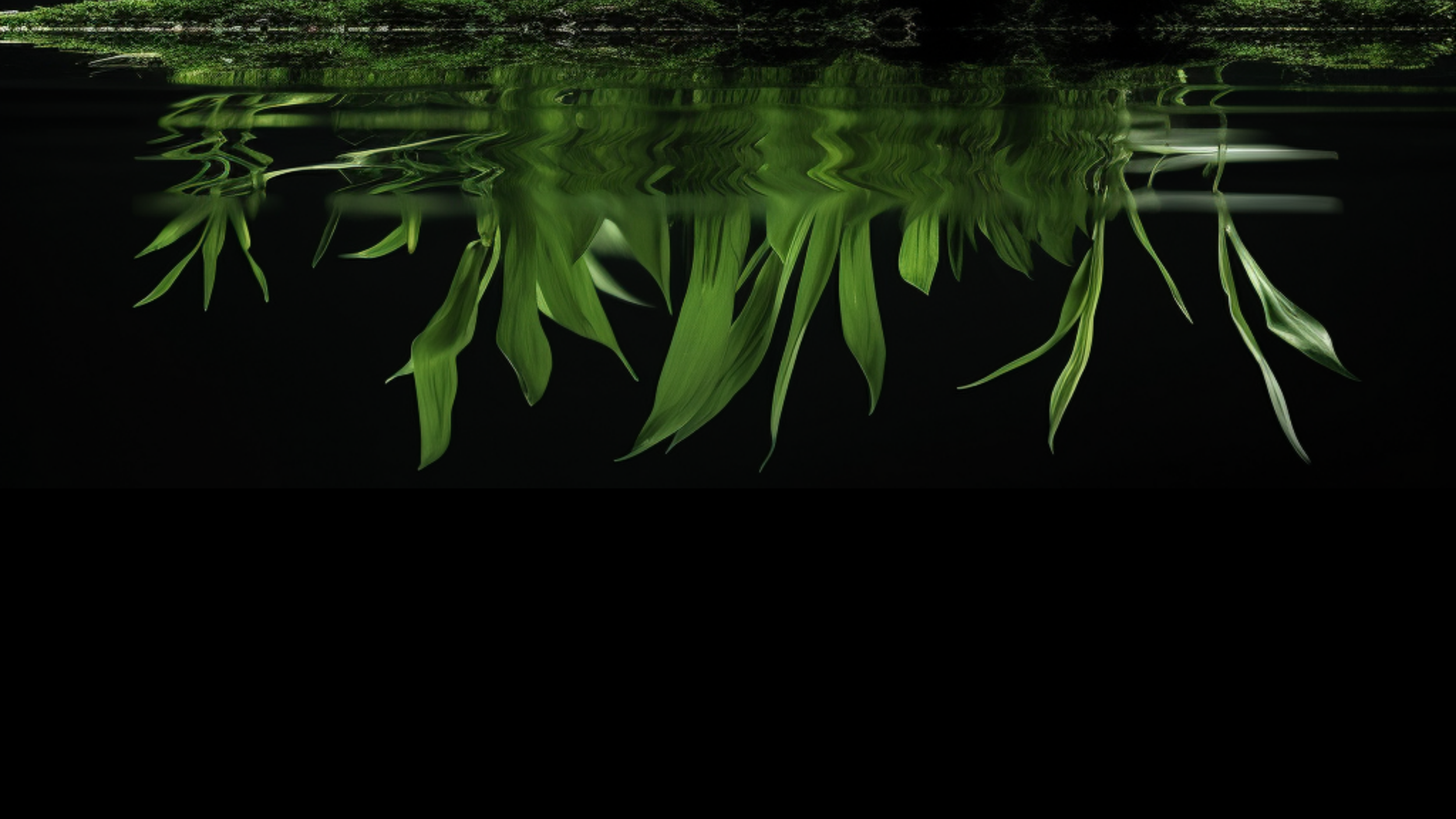 Technology — Plantik Biosciences