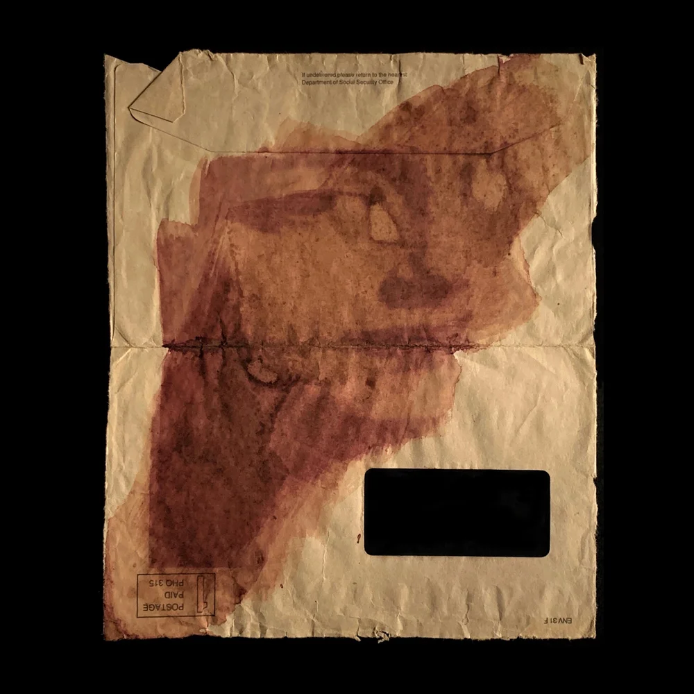 Ephemeral: Anthotypes & Chlorophyl Prints — LUMILYON